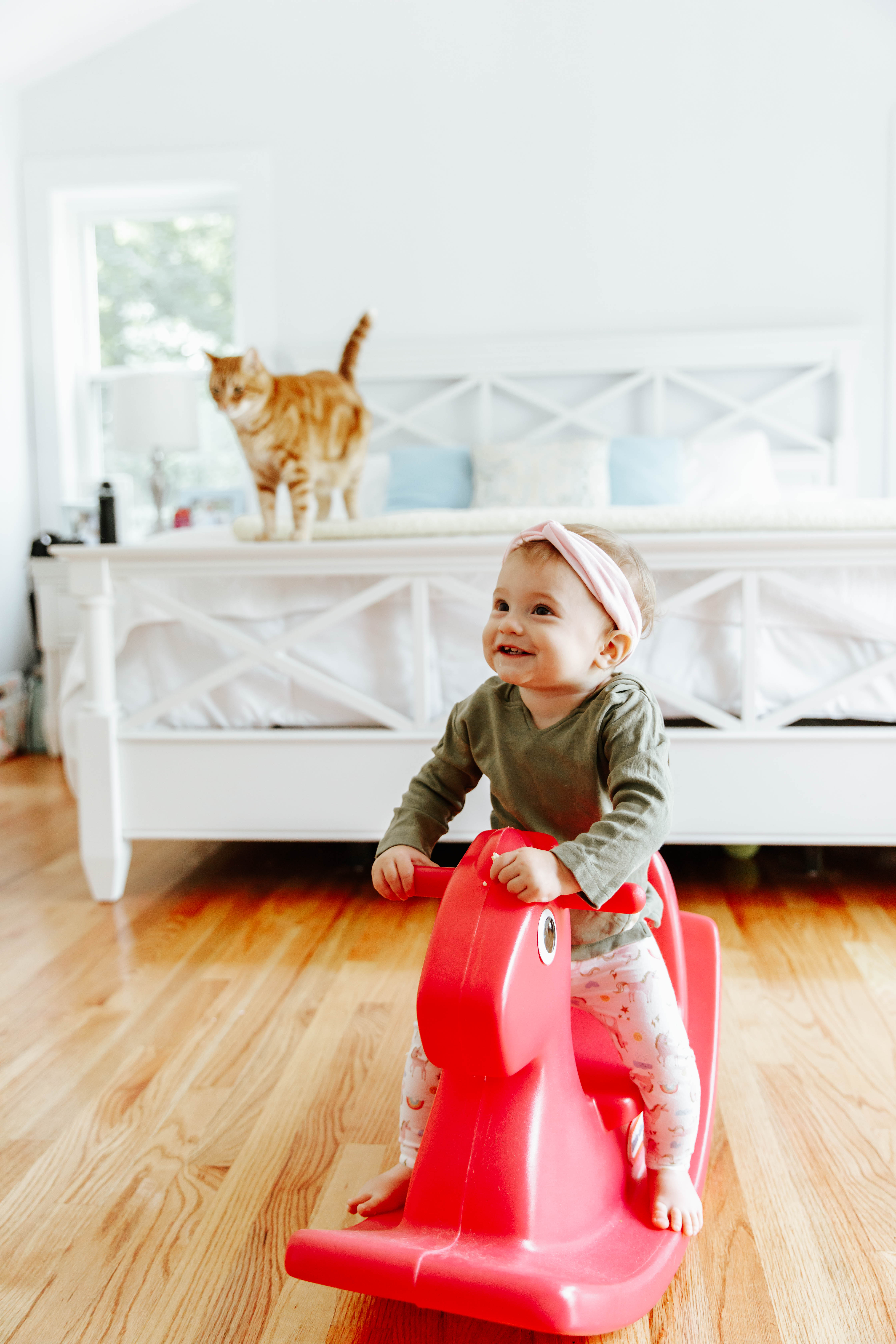 How to Create a Safe Space for Babies and Pets